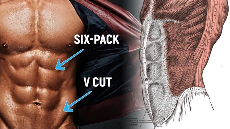 5 Best Kettlebell Exercises For Abs And Core