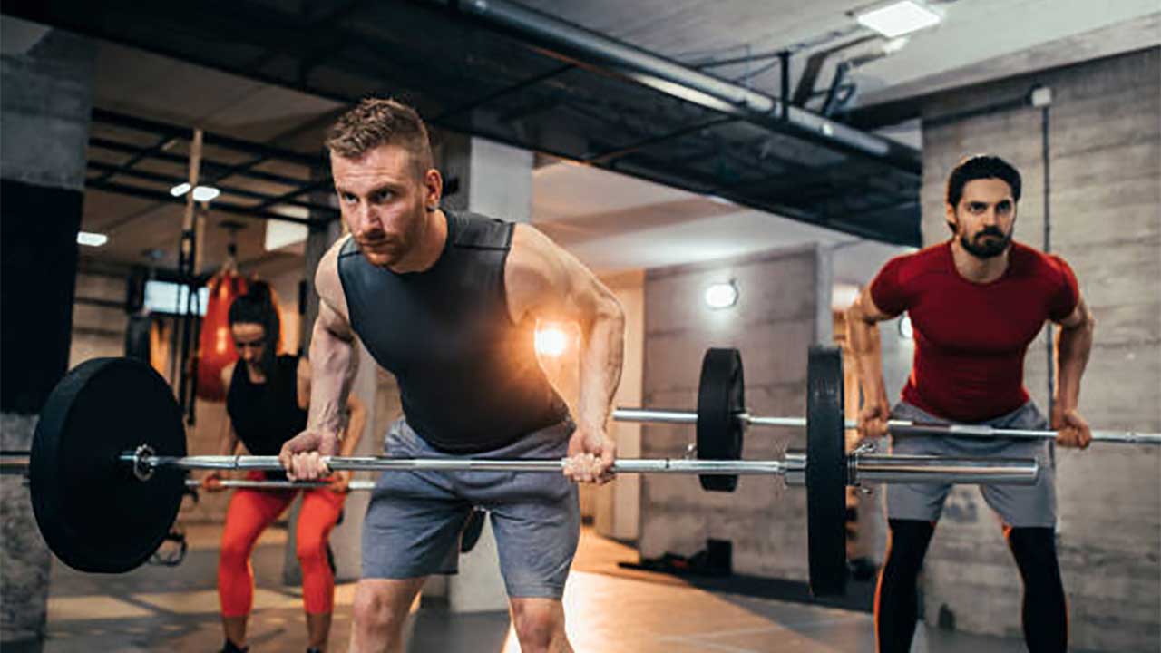 Barbell Rows Vs Dumbbell Rows: What Will Build me the Biggest Back?
